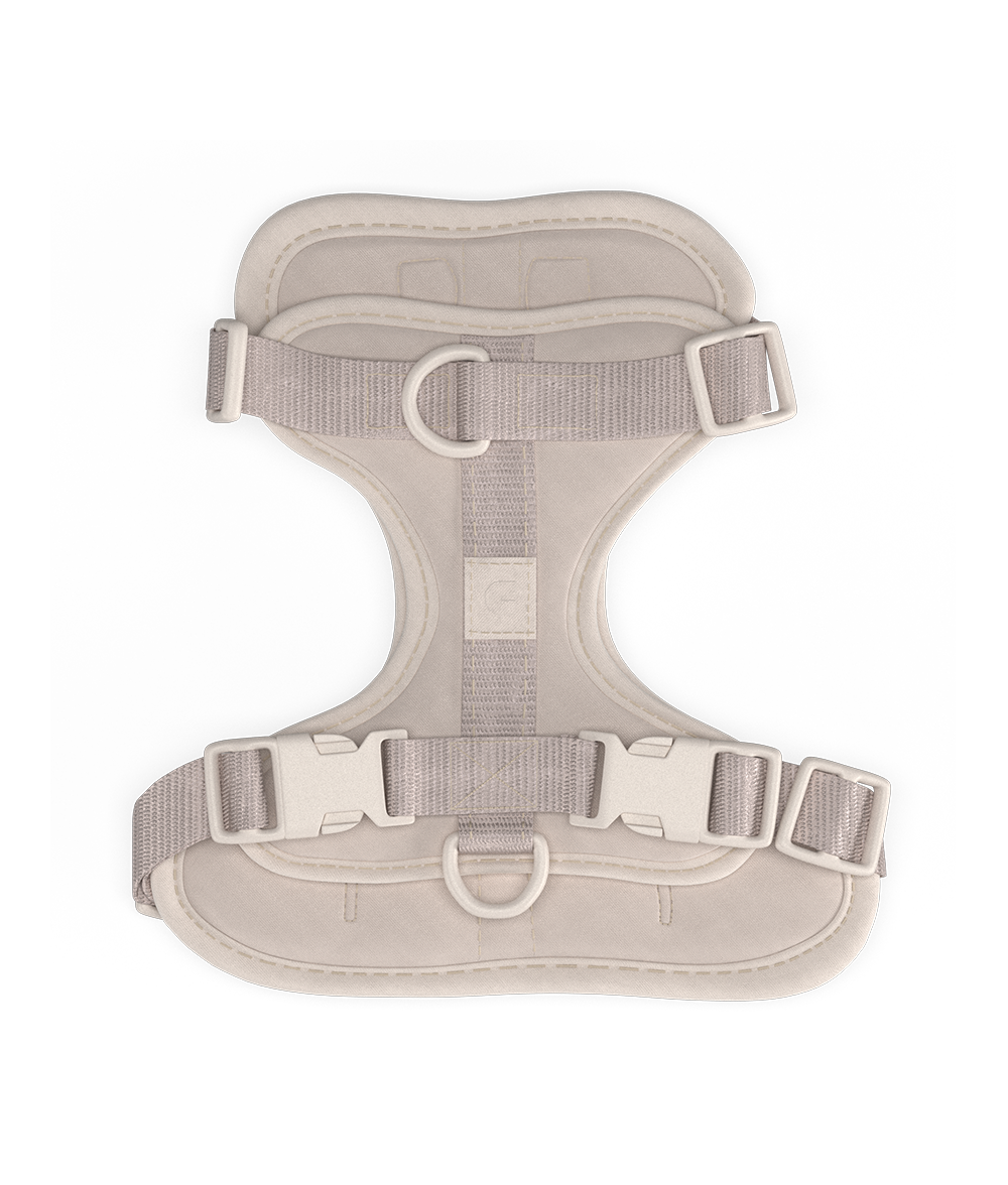 Colecciones – COCO & CAMI